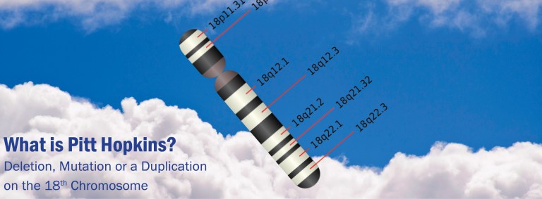 What is Pitt Hopkins Syndrome? – Alexandra's Pitt Crew